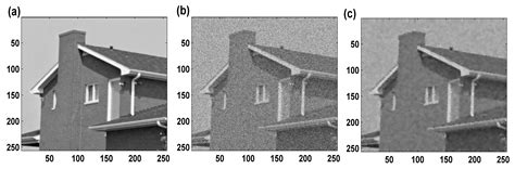 Edge Preserving Image Denoising Based On Lipschitz Estimation