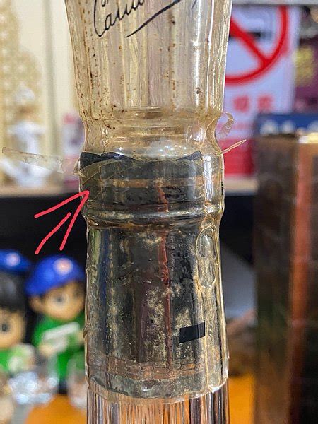長卡穆 金花VSOP 鳳梨 歐塔VSOP 軒尼斯VSOP 人頭馬XO 黑角馬 P9品酒網
