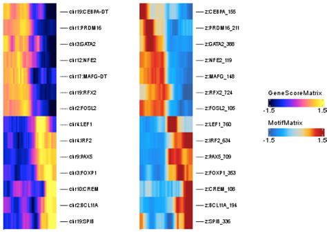 182 Lymphoid Trajectory B Cell Cifferentiation Archr Robust And Scaleable Analysis Of