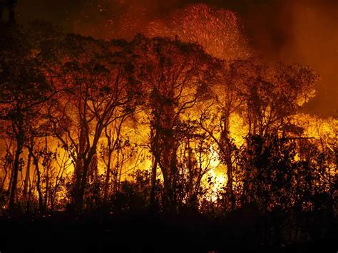 Amazônia em chamas Brasil bate novo recorde de incêndios florestais