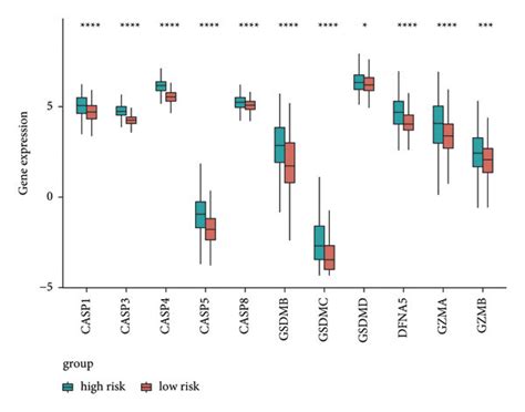 Pyroptosis Risk Model A Distribution Of Genes In The Pyroptosis Risk