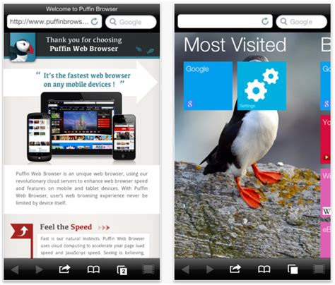 News Puffin