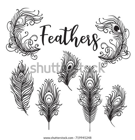 Vector Illustration Beautiful Peacock Feather Set Stock Vector Royalty