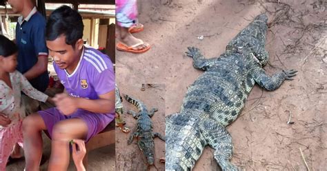 សូមប្រុងប្រយ័ត្ន មានករណីក្រ ពេី ខាំ ពលរដ្ឋម្នាក់នៅក្នុងខេត្តសៀមរាប