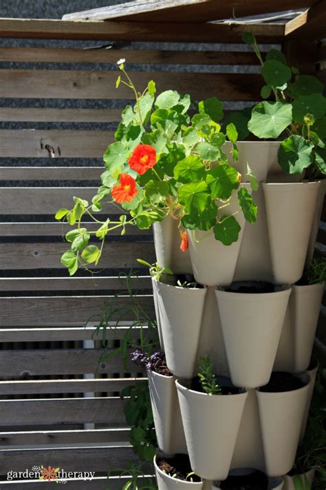 Growing Vegetables In Containers—these Are The Easiest Ones