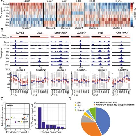 Chromatin Accessibility Data Exploratory Analysis A Clustering Of Download Scientific Diagram