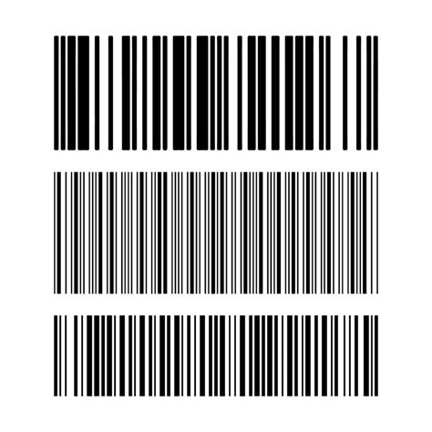 Set Of Vector Barcodes Isolated On White Background Vector Stock Illustartion 13368752 Vector