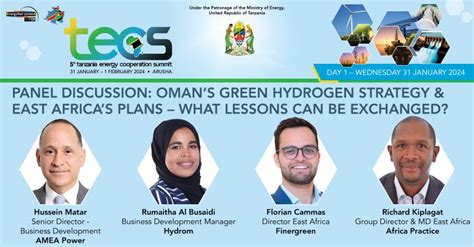 Ameer Ali On Linkedin Tanzania Energy Cooperation Summit Home Page