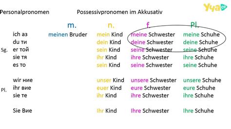 Видео урок Притежателни местоимения във винителен падеж Akkusativ