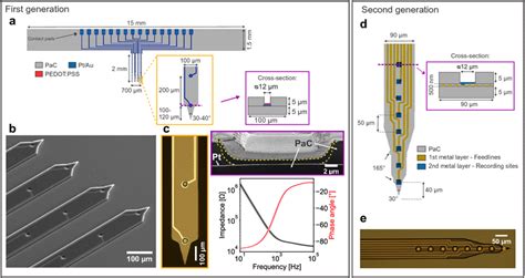 Overview Of The Flexible Intracortical Probes First Generation Of Download Scientific Diagram