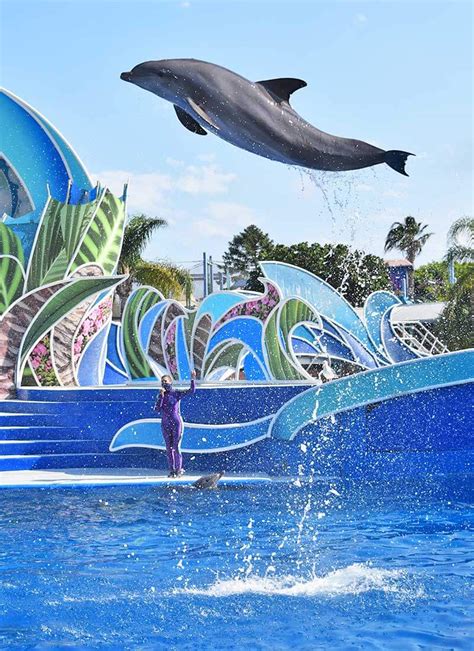 Seaworld