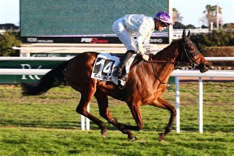 PRIX DE RIMIEZ 2024 Partants et Pronostics CAGNES SUR MER Réunion n