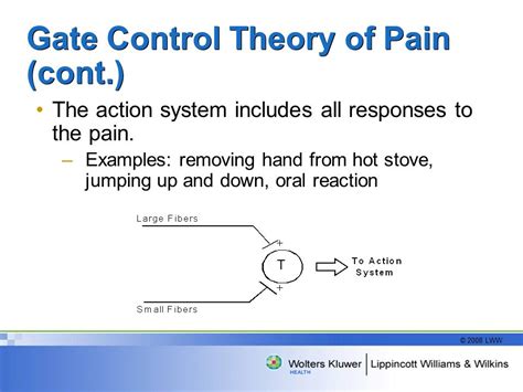 Gate Control Theory Example