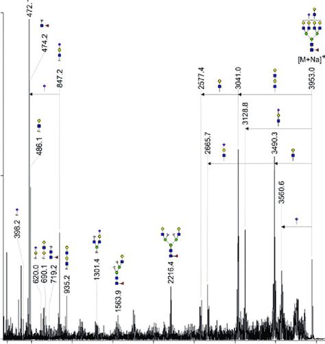 MALDI TOF TOF Mass Spectrum Of The M Na Molecular Ion At M Z