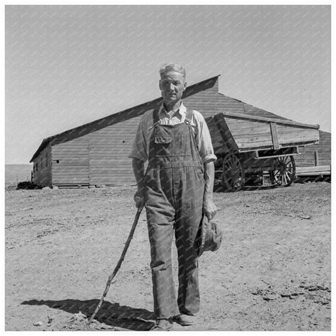 Chris Ament Wheat Farm Columbia Basin August 1939 16 X 16