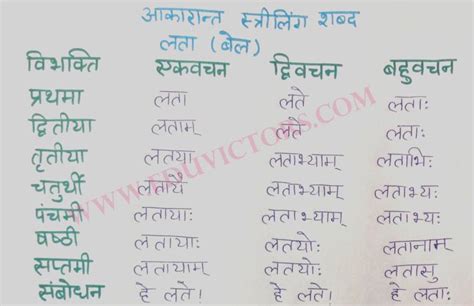 Cbse Papers Questions Answers Mcq Cbse Class 6789 संस्कृत