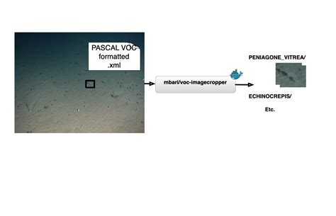 Github Mbari Orgvoc Cropper A Simple Utility To Crop From Png Or