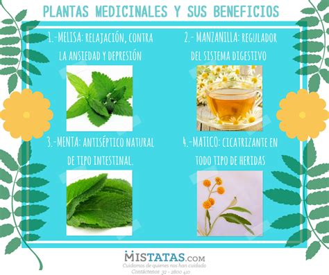 Plantas Savias Curativas Y Protectoras