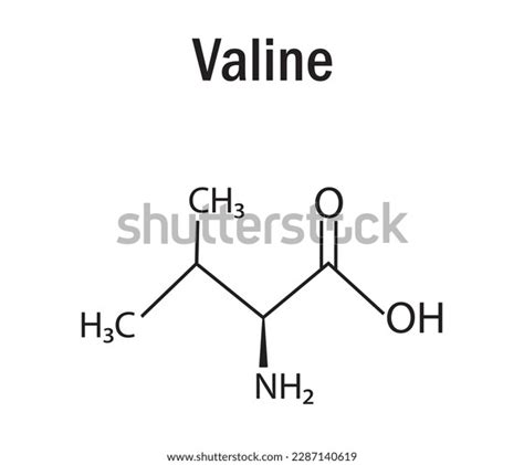 Valine Amino Acid Formula Structure Chemical Stock Vector Royalty Free