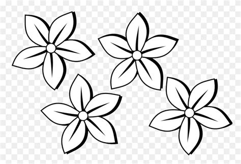 How To Draw Sampaguita Flower To Finish Your Drawing Add Some Details And Colors