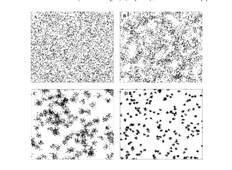 Examples Of The Spatial Aggregation Pattern Simulated By The Poisson