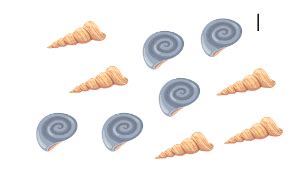 Fossil Record Lab Whos Dating Who ITeachly Com