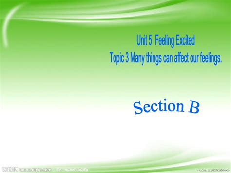 新仁爱版八年级英语下册unit 5 Topic 3 Section B精品课件word文档在线阅读与下载无忧文档