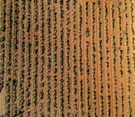 Premium Photo Full Frame Shot Of Agricultural Field