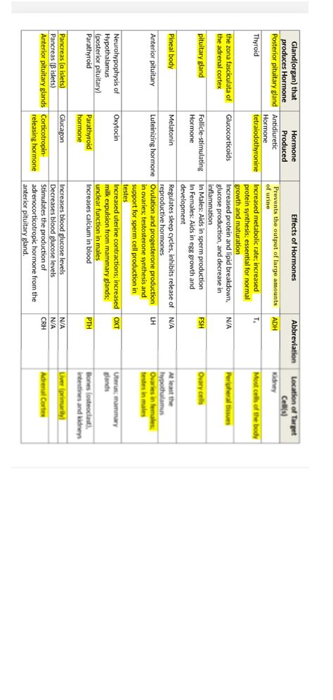 SOLUTION Endocrine System Lab Results Studypool