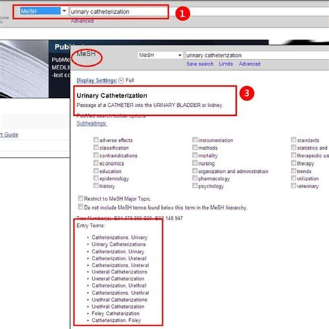 PubMed Searching Strategy Using MeSH Terms Free Textwords And Limits