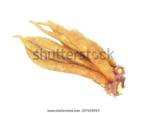 570 Imágenes De Lesser Ginger Imágenes Fotos Y Vectores De Stock Shutterstock