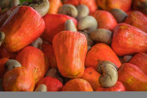 ក្រសួងកសិកម្ម ប្តេជ្ញាបង្កើនកិច្ចសហការ និងការវិនិយោគ