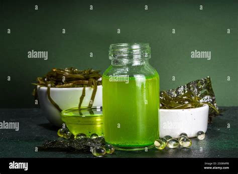 Algae Based Oil Seaweed Alternative Vegan Oil Monounsaturated Healthy Fat Ingredient With