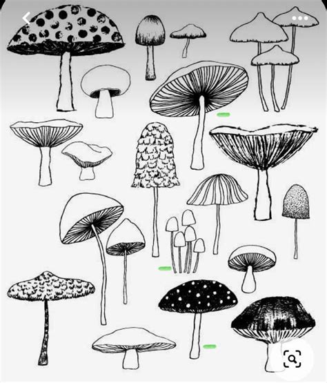 Colección Con El Artista Alejandro Suarez Rendón Taco Y Sabrina