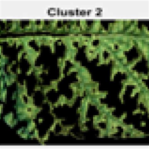After K Means Cluster Download Scientific Diagram