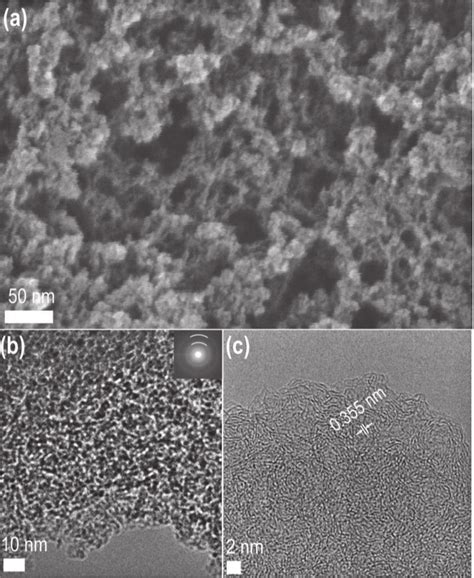 Sem And Tem Observation Of The Zncl 2 Activated Lapsi Seed Carbon A Download Scientific