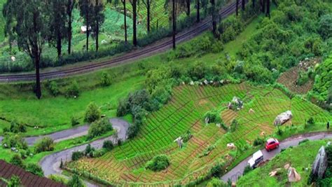 Unique Things To Do In Ooty In