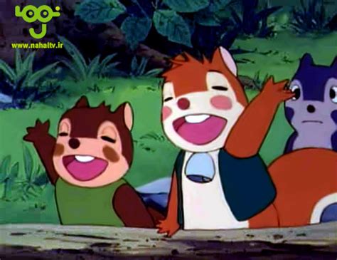 بنر سنجاب کوچولو شبکه نهال