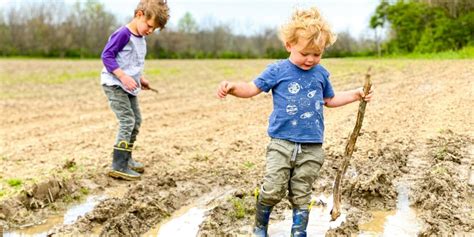 How Friendly Bacteria Support Human And Ecological Wellness The