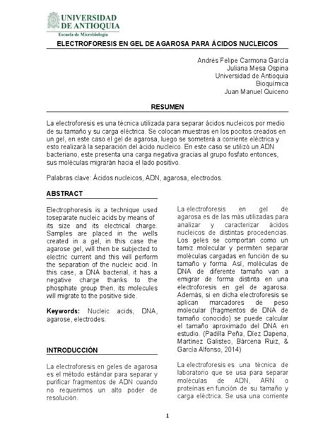 Electroforesis En Gel De Agarosa Para Ácidos Nucleicos Pdf