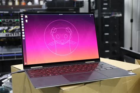 Windows 10 Vs Linux Openglvulkan Driver Performance With Intel