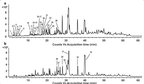Total Ion Chromatograms Tic In The Positive Ion Mode A And
