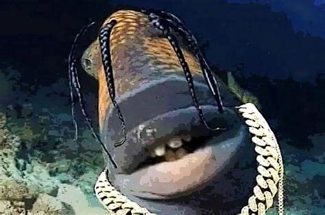 The Travis Scott Fish Meme TechSuperHit
