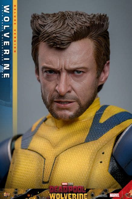 Hot Toys Movie Masterpiece Series Mms754 Marvel Deadpool And Wolverine