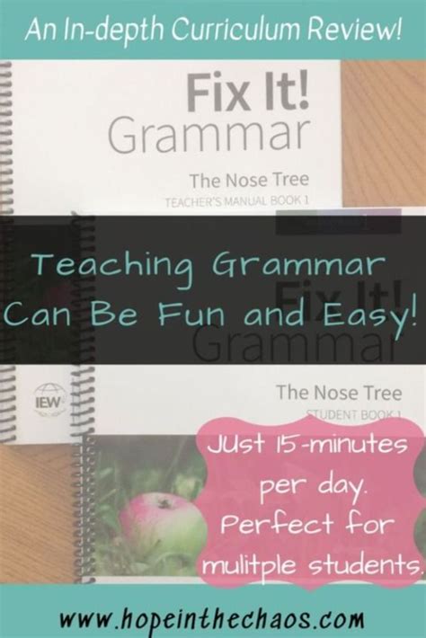 A Fun And Effective Grammar Solution Fix It Grammar Hope In The Chaos