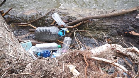 Видео Десетокласничка от Кюстендил организира кампания за почистване на коритото на р Струма