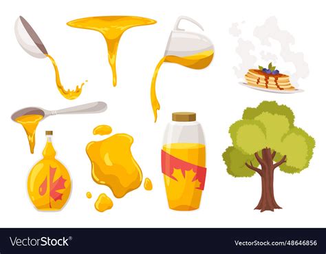 Maple Syrup Icon Set Product In Bottle Droplet Vector Image