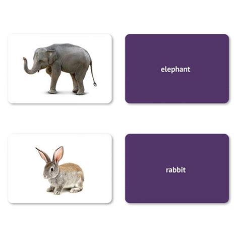 Nouns Flashcards Picture My Picture
