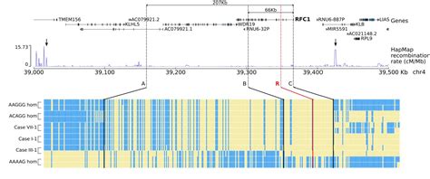 figure 3 from normal and pathogenic variation of rfc1 repeat expansions