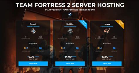5 Best Tf2 Team Fortress 2 Server Hosting 2025